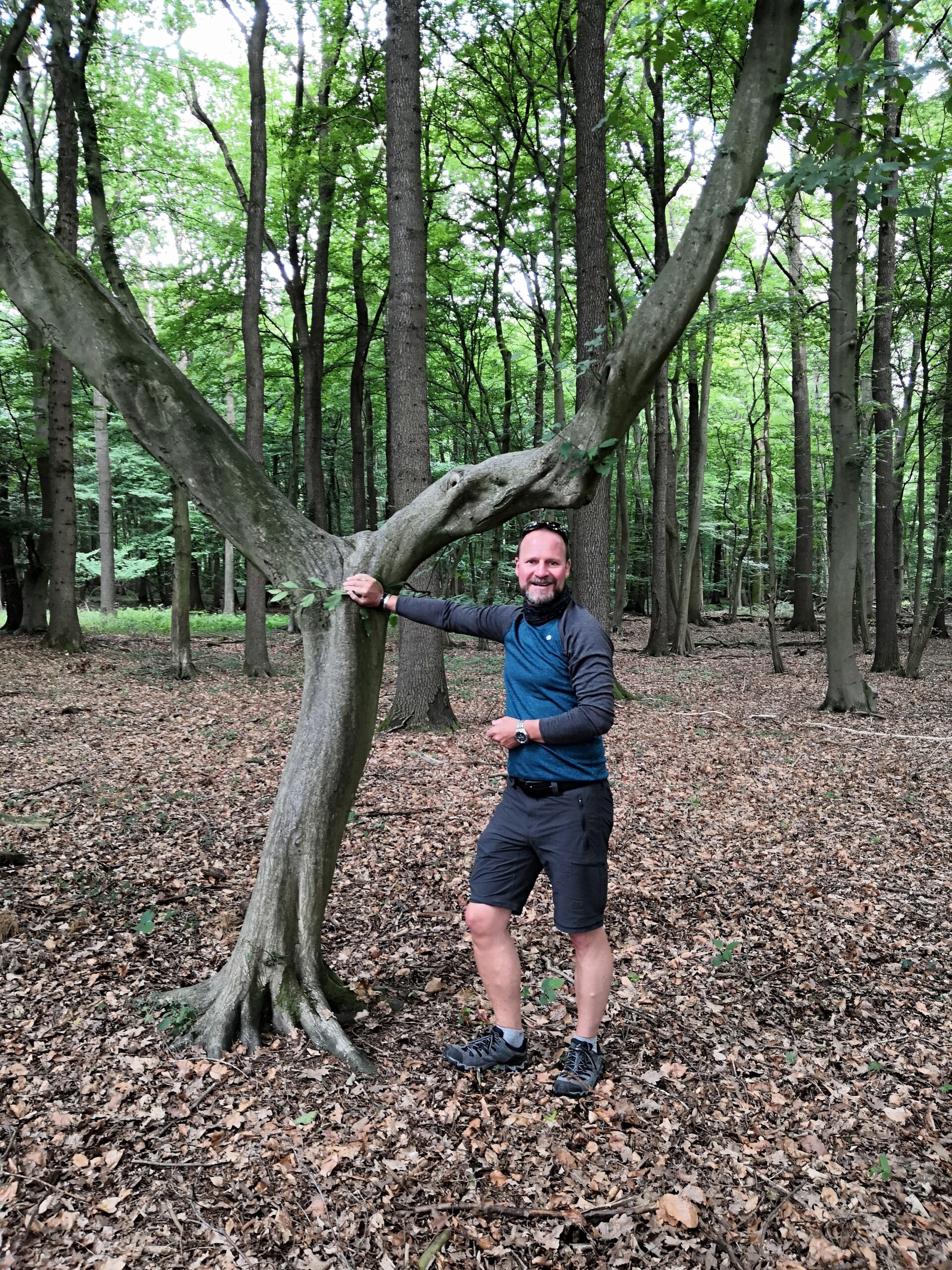 Natur-Resilienz-Training – Achtsamkeit im Wald